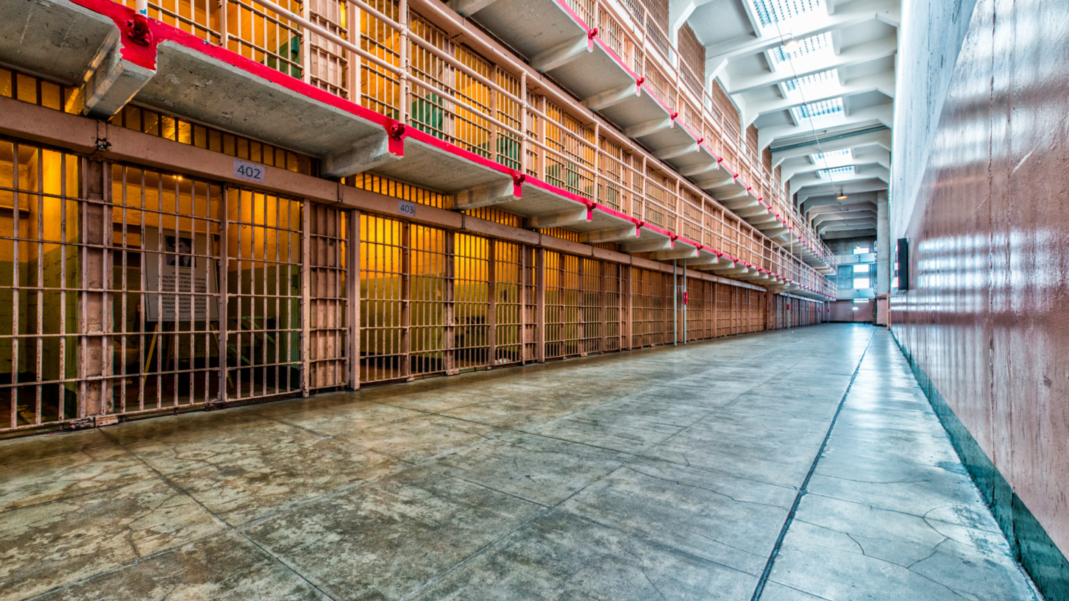 Private Prisons and the Expansion of Immigrant Detention | Sauder Schelkopf